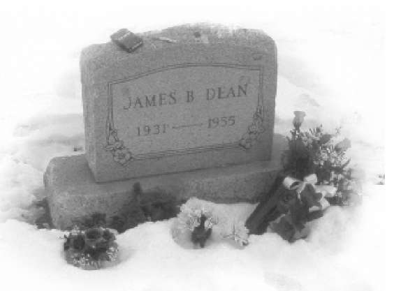 The Real James Dean: Intimate Memories from Those Who Knew Him Best ...
