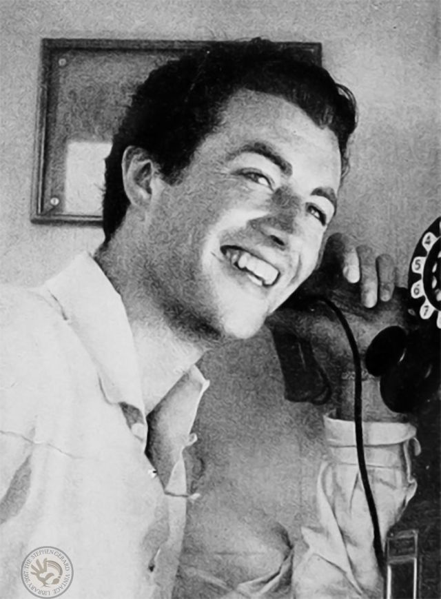 Robert Taylor: Male Beauty, Masculinity, and Stardom in Hollywood ...