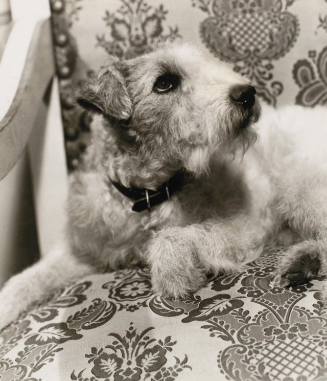 Skippy | Hometowns to Hollywood