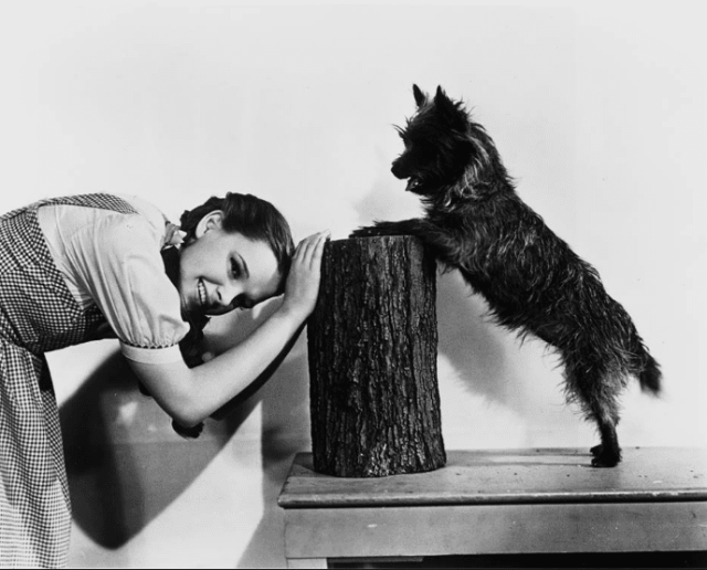 Terry | Hometowns to Hollywood