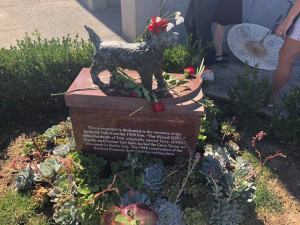 Terry | Hometowns to Hollywood