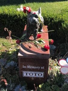 Terry | Hometowns to Hollywood