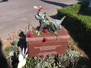 Terry | Hometowns to Hollywood