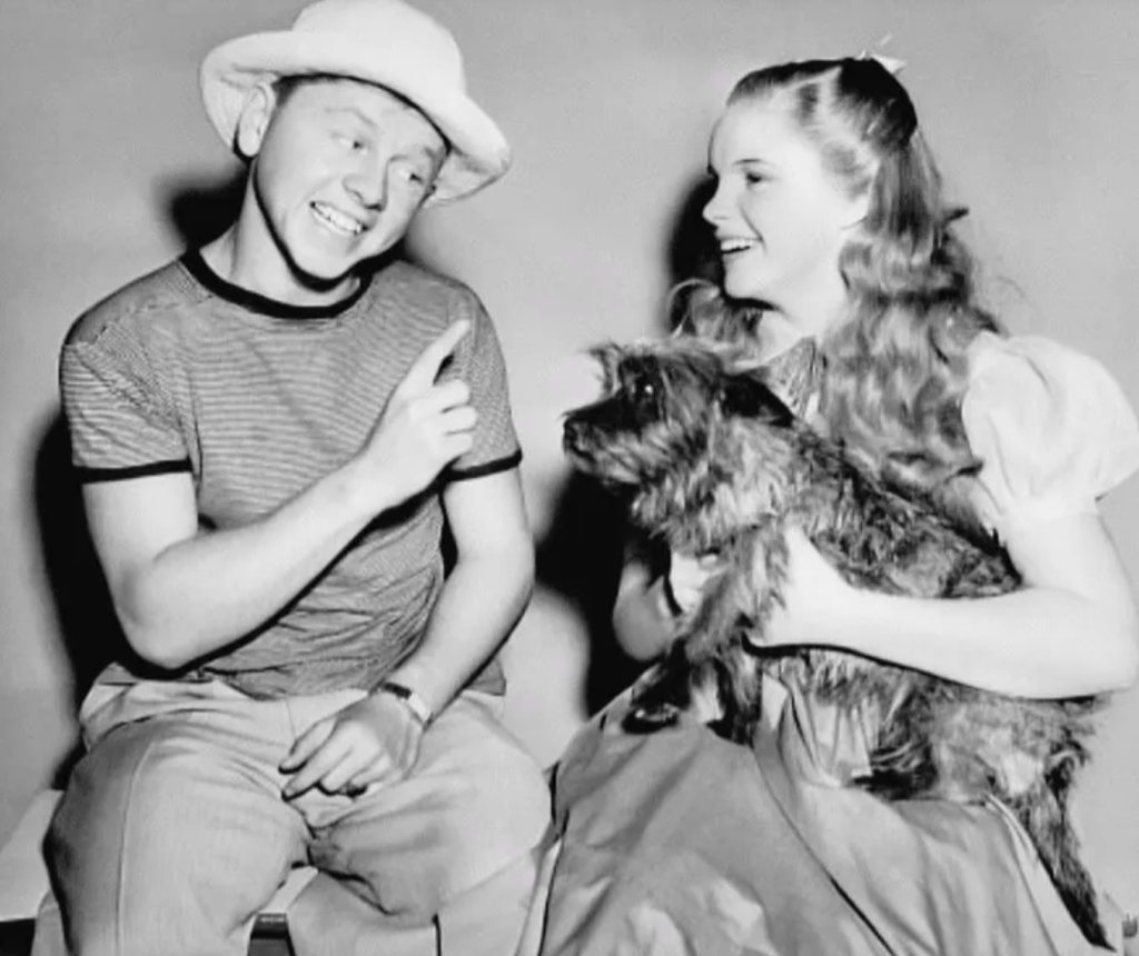 Terry | Hometowns to Hollywood